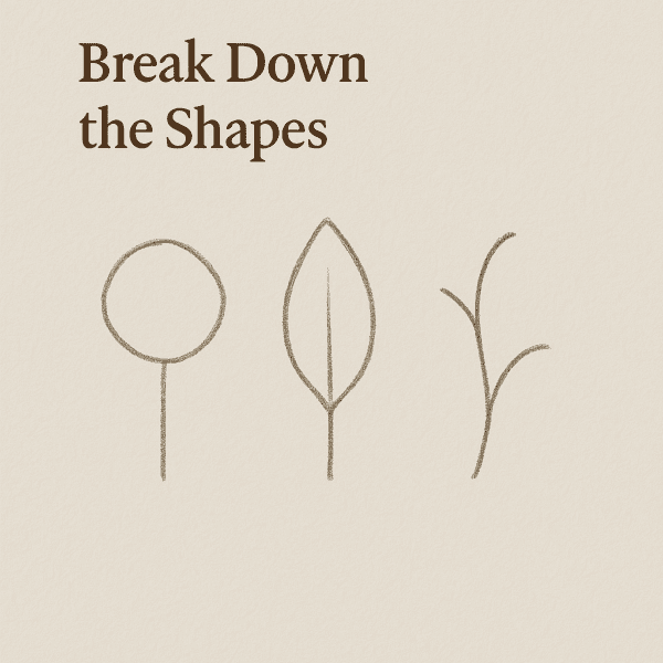 🌿 Botanical Sketching 101: A Beginner’s Guide to Drawing Plants ...